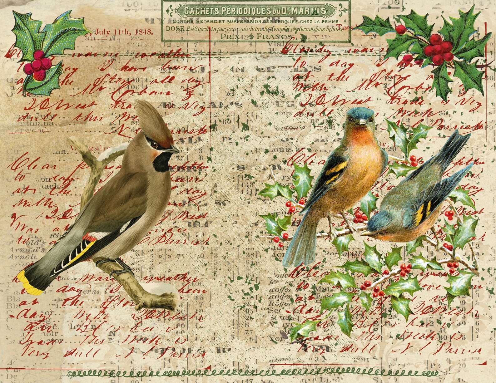 Vintage Christmas Birds Junk Journal Papers, Digital Printable, Birds ...