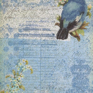 Blue Bird Junk Journal Papers, Vintage Nature Journal Papers, Vintage ...