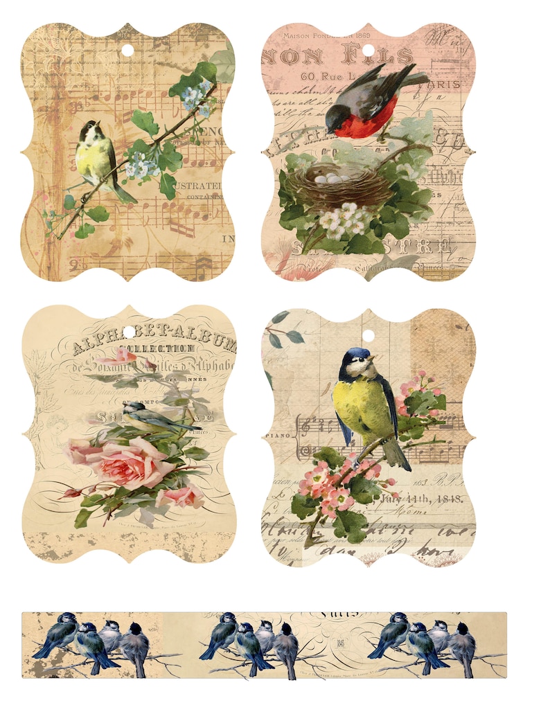 Vintage Garden Birds Junk Journal Kit Vintage Birds Ephemera - Etsy