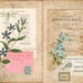 Flower Journal Pagesdigital Download Vintage Flowers - Etsy