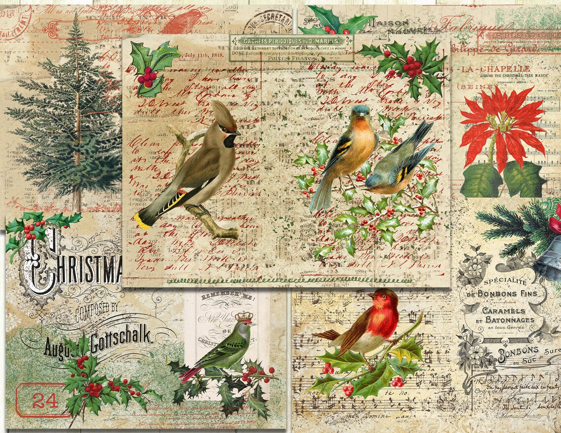 Vintage Christmas Birds Junk Journal Papers, Digital Printable, Birds ...