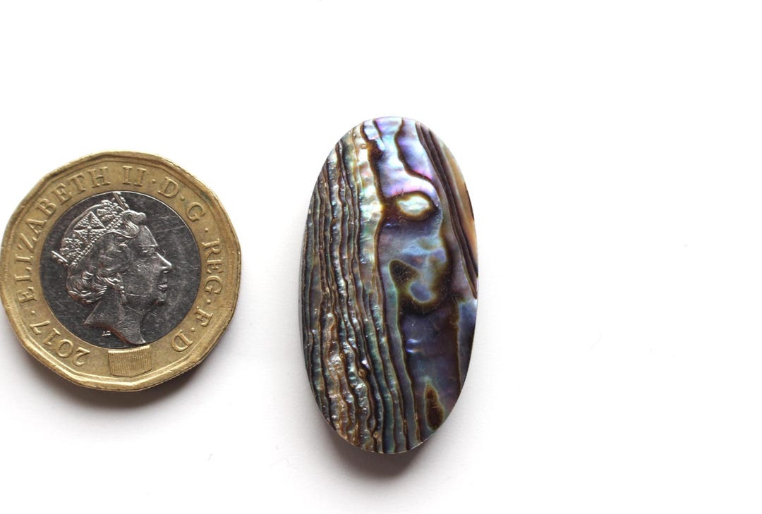 Abalone Cabochon Gemstone Abalone Shell Oval Pearl Doublet Smooth ...