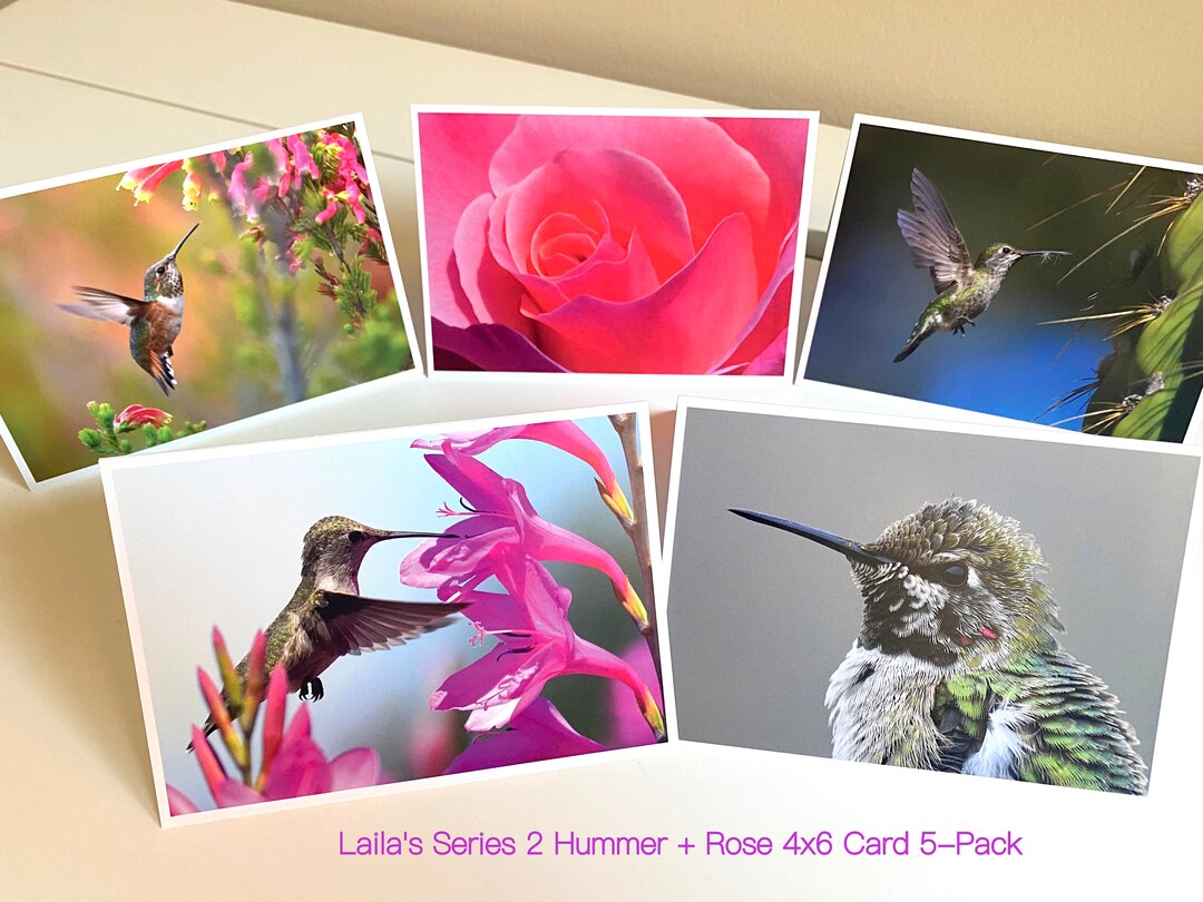 Greeting Cards Laila's Series 2 Hummer Rose 4x6 Card 5-pack - Etsy