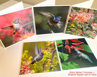 5 Hummer Cards - Etsy