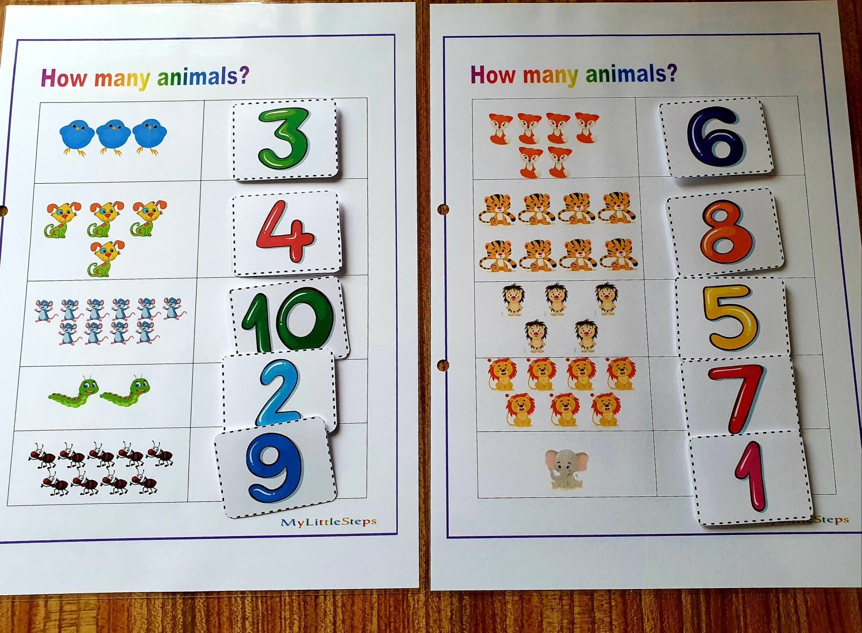 Toddler Learning Folder Nursery Learning Folder Preschool - Etsy UK