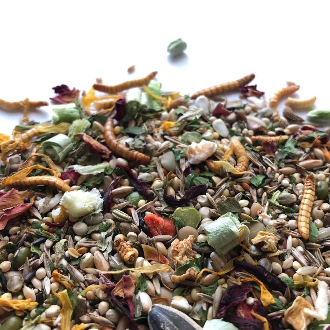 500g Roborovski Dwarf Hamster Pellet-free Food Mix | Robin's Gourmet ...