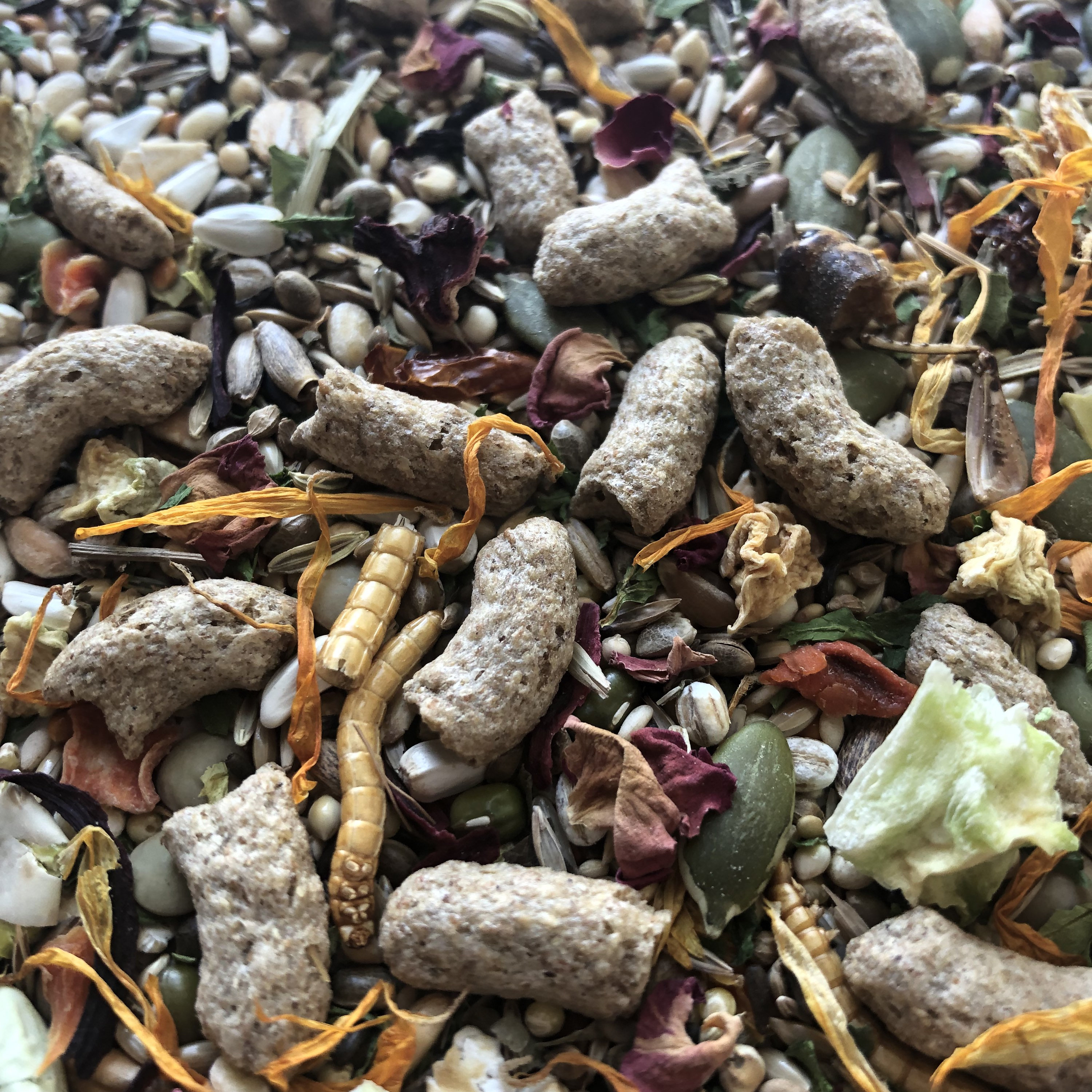 100g Gerbil Food Mix with Pellets Trial Package | Etsy