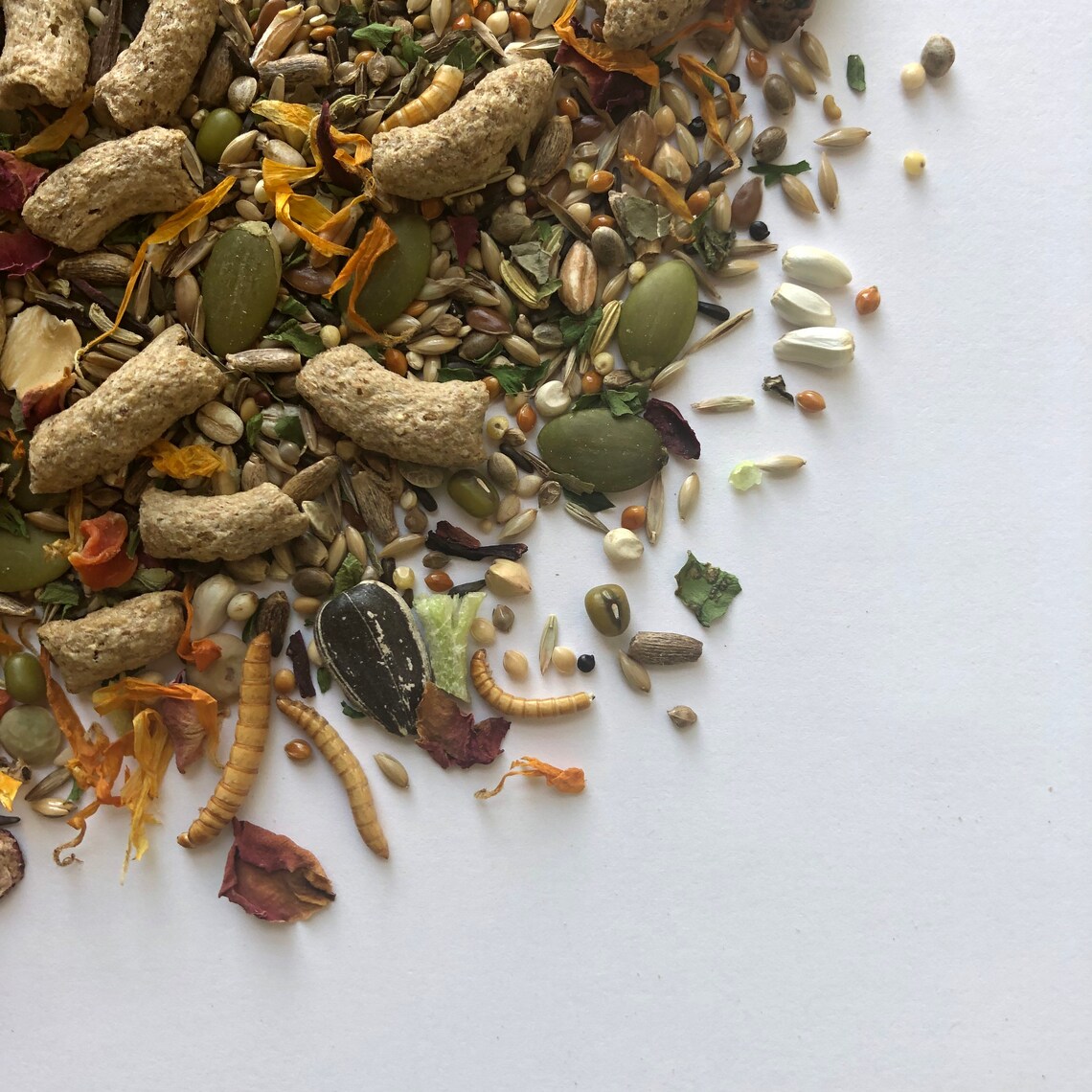 500g Gerbil Food Mix With Pellets Robin's Fortified - Etsy