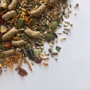 500g Gerbil Food Mix With Pellets | Robin's Fortified Gerbil Food Mixes ...