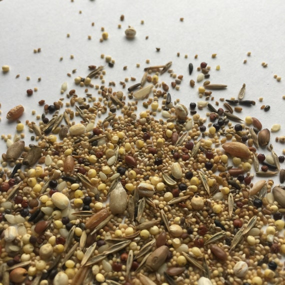 Robin's Seed Blends for Hamsters and Gerbils Seed mix | Etsy