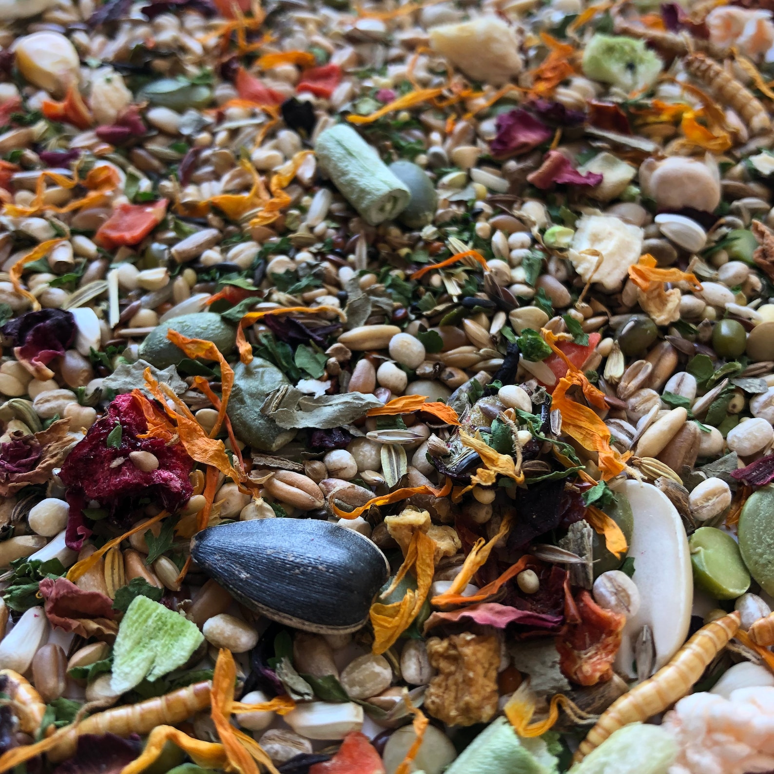 500g Syrian Hamster Pellet-free Food Mix Robin's Gourmet | Etsy