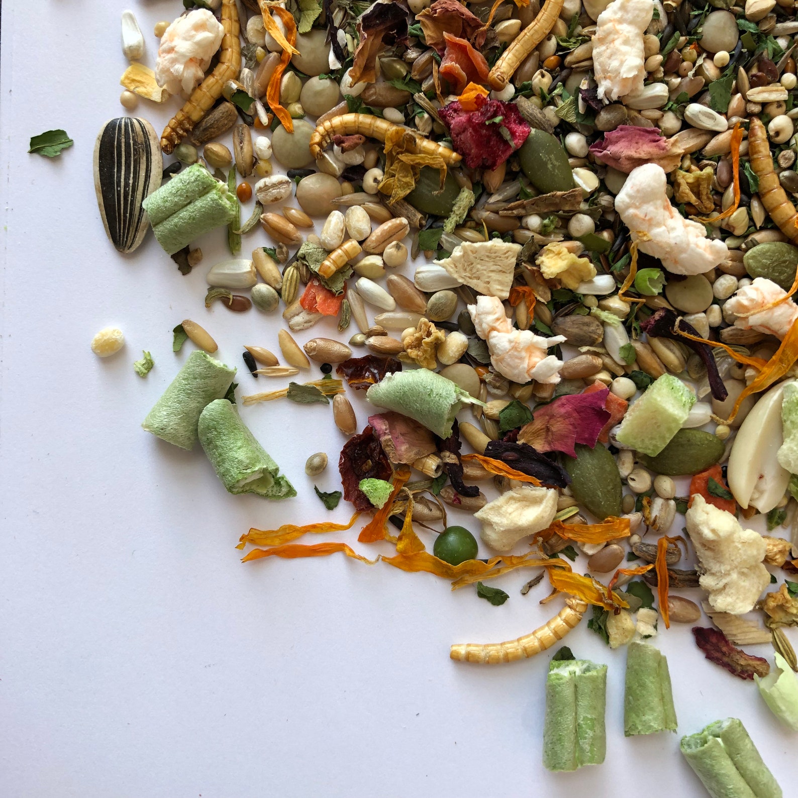 100g Syrian Hamster Pellet-free Food Mix Trial Package - Etsy