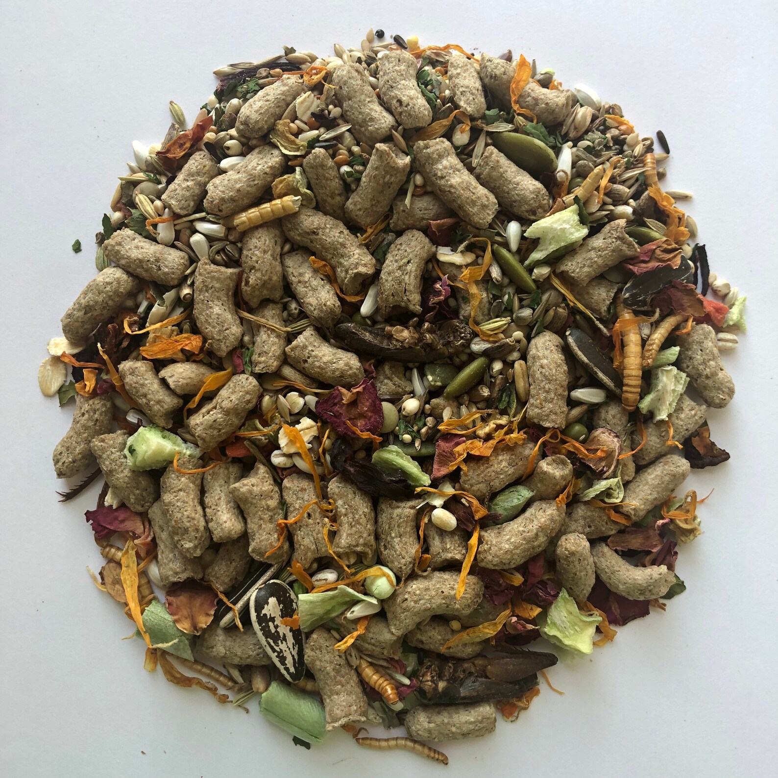 100g Gerbil Food Mix with Pellets Trial Package | Etsy