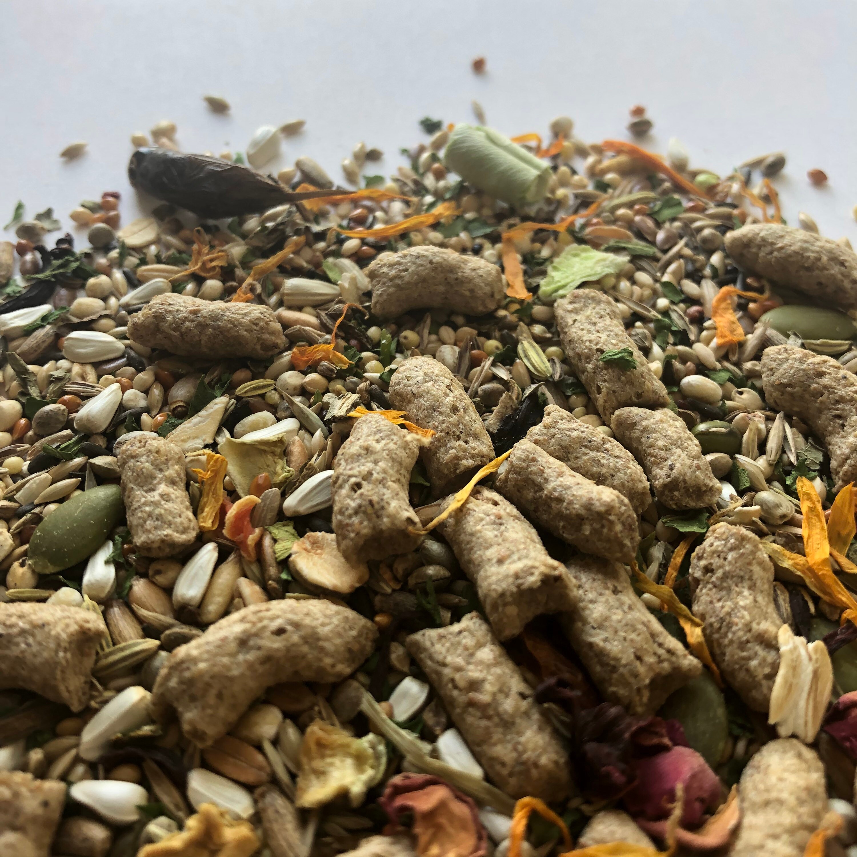 100g Gerbil Food Mix with Pellets Trial Package | Etsy