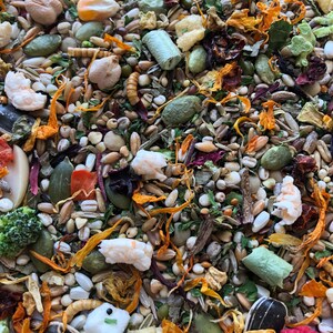 500g Syrian Hamster Pellet-free Food Mix | Robin's Gourmet Hamster Food ...