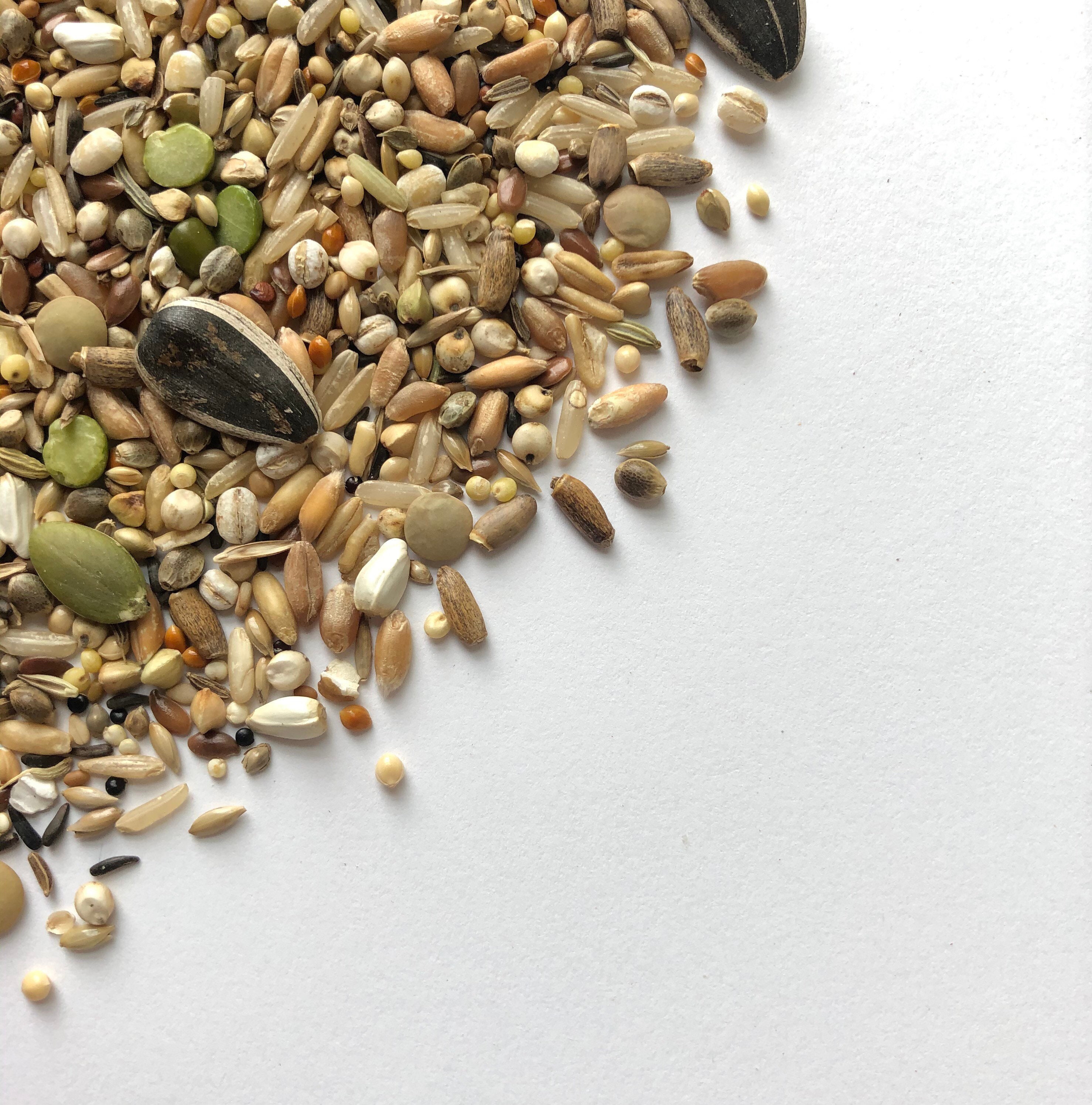 Robin's Seed Blends for Hamsters and Gerbils | Seed Mix Base | 250g - Etsy