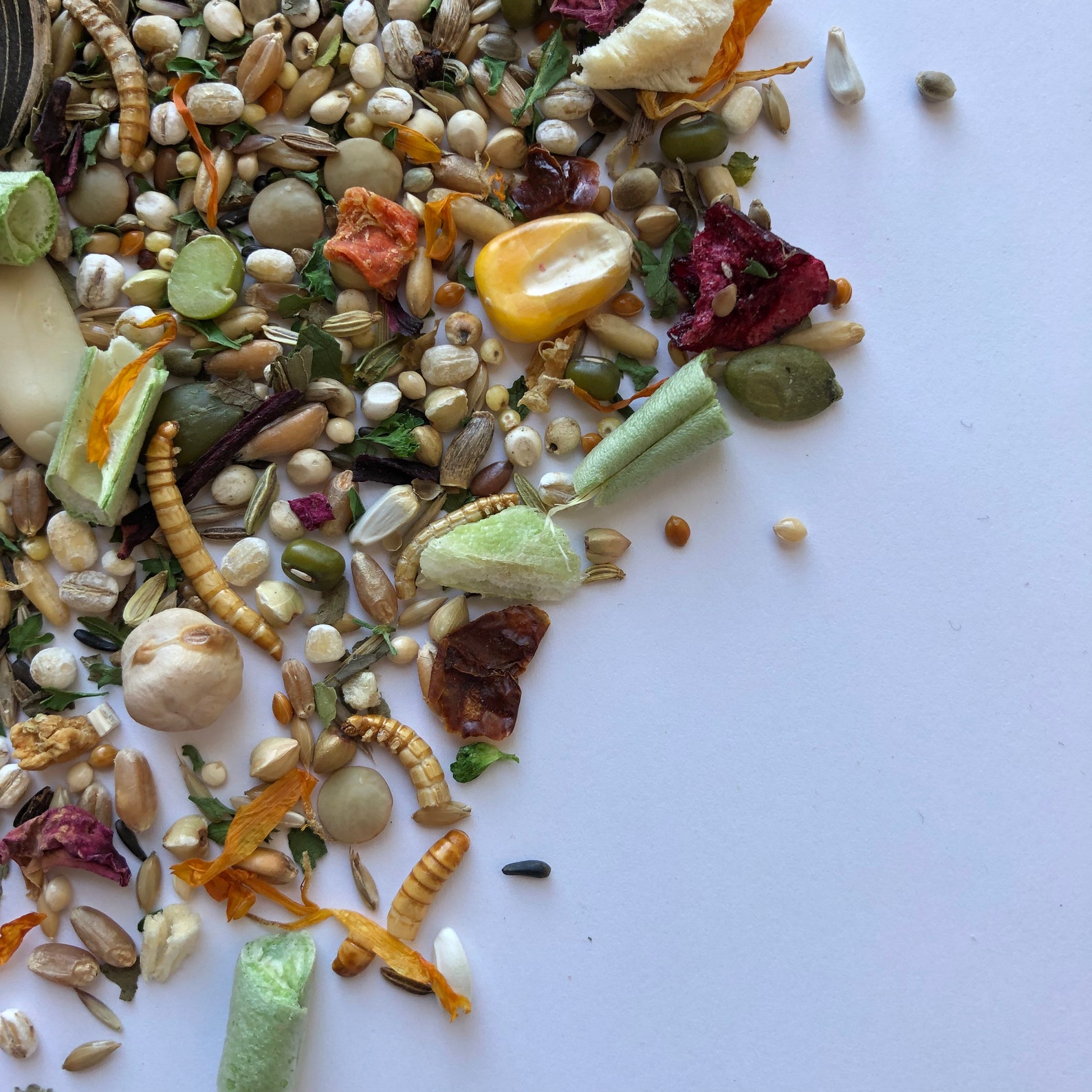 100g Syrian Hamster Pellet-free Food Mix Trial Package - Etsy