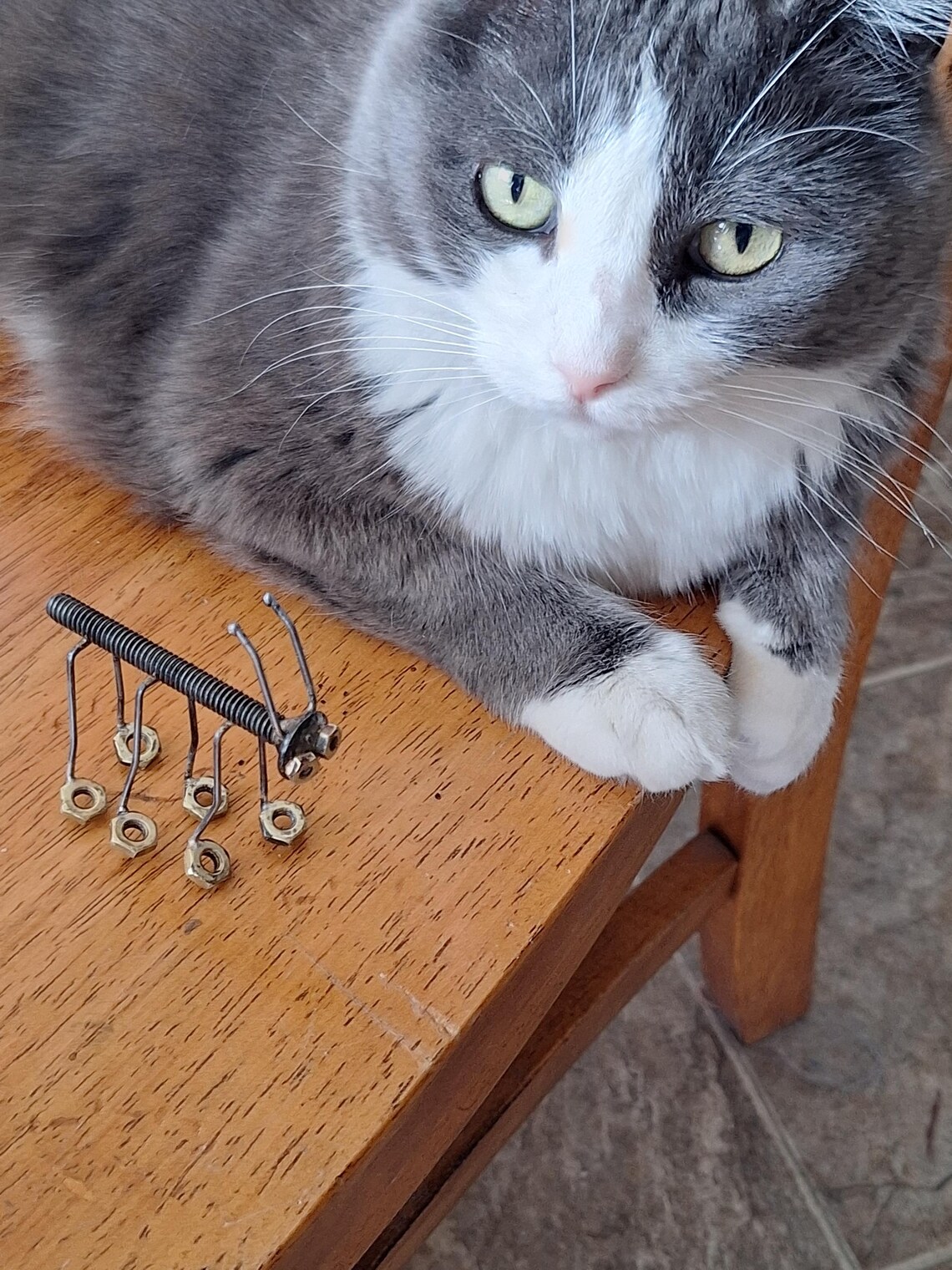 Ants Go Nuts!, Upcycled Art, Eco Art, Nuts, Bolts, Unique Gift, Insects ...