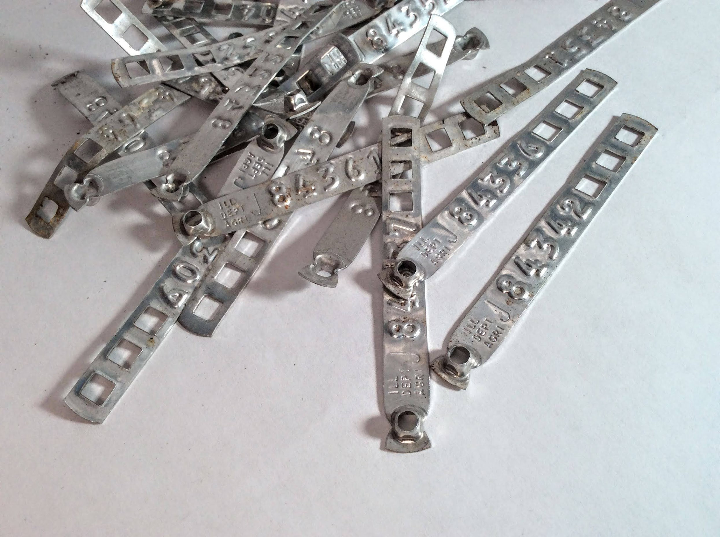 Vintage Chicken Metal Leg Bands, Poultry Wing Bands, Metal Tags, Craft ...