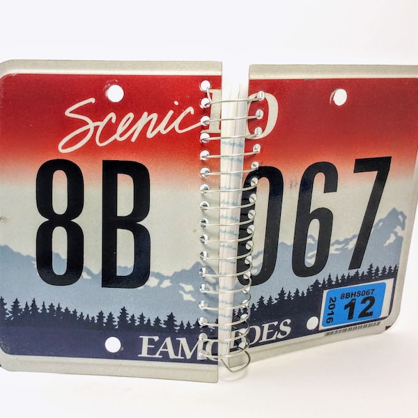 Upcycled License Plates - Etsy