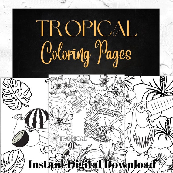 20 Tropical Themed Coloring Pagesdigital Downloadcoloring - Etsy