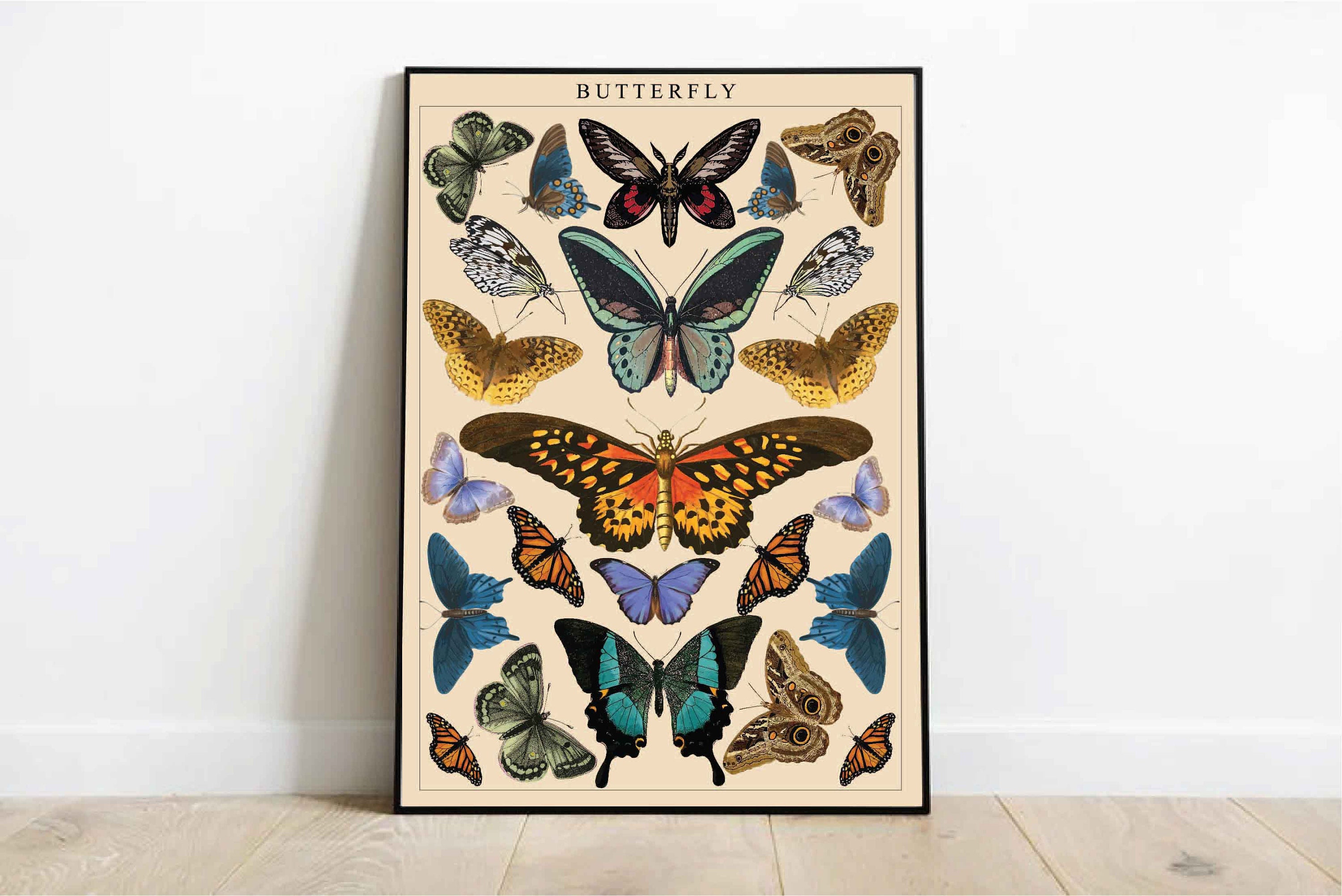 Vintage Butterfly Print Butterfly Poster Vintage Poster | Etsy