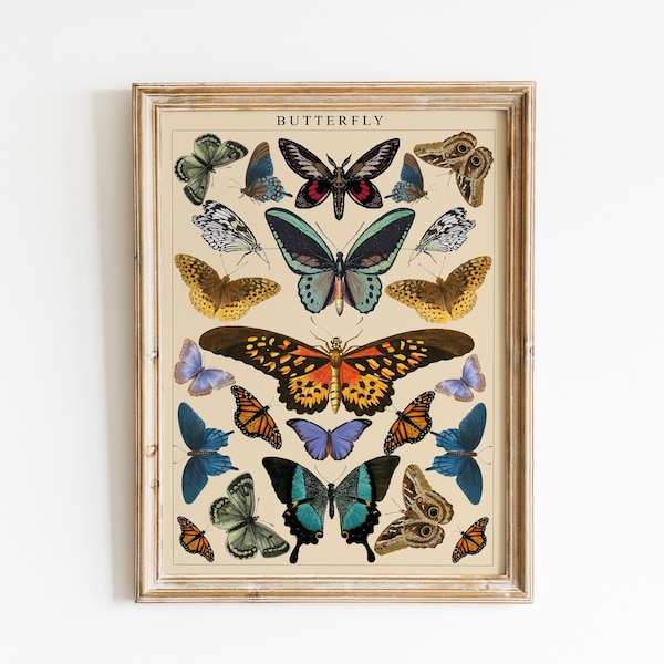 Butterfly Poster - Etsy
