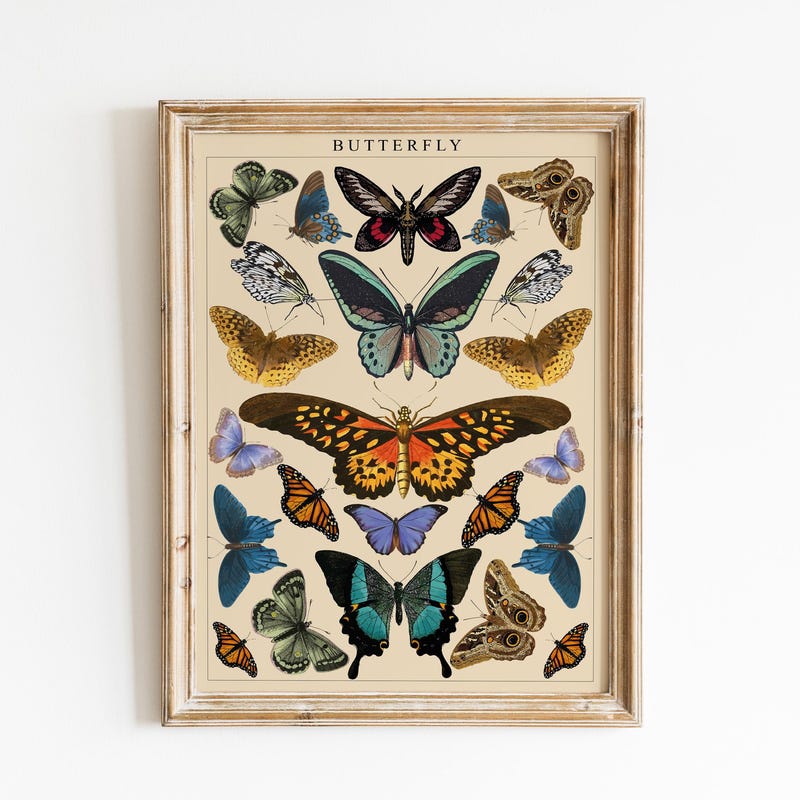 Butterfly Poster - Etsy