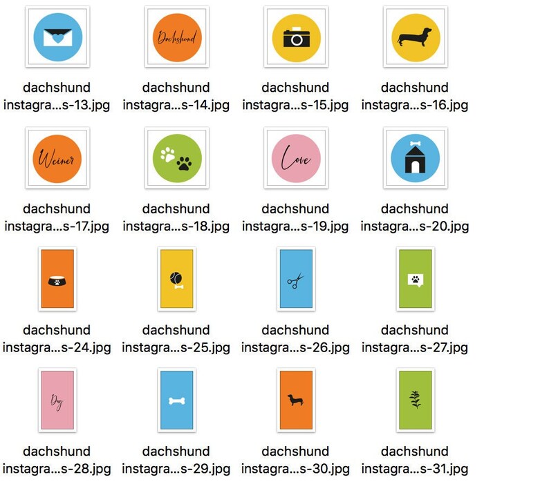 Dachshund Instagram Story Highlight Cover Icons - Dog Weiner Breed ...