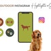 Dog Instagram Story Highlight Outdoor Cover Icons Dog Icons Bundle ...