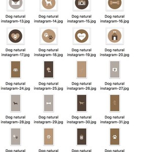 Dog Instagram Story Highlight Natural Cover Icons - Dog Icons Bundle ...