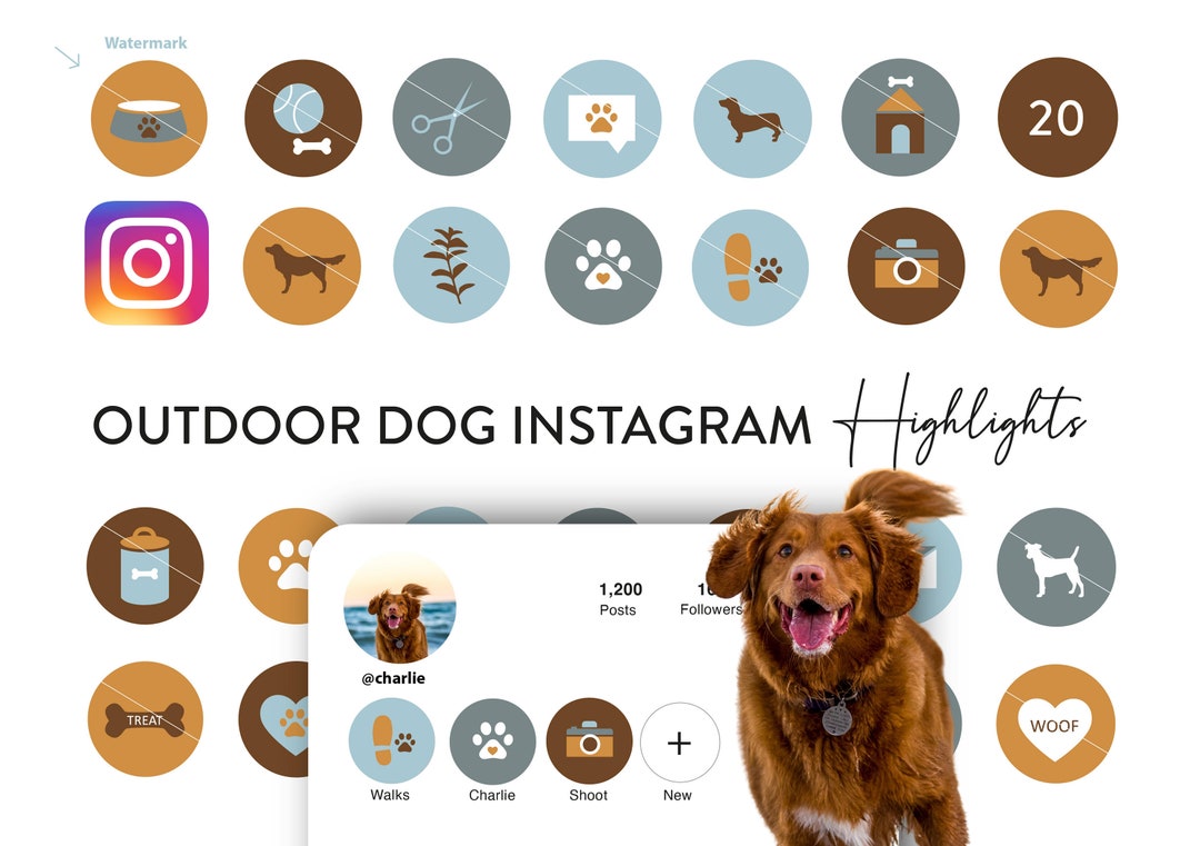 Dog Instagram Story Highlight Outdoor Cover Icons - Dog Icons Bundle ...