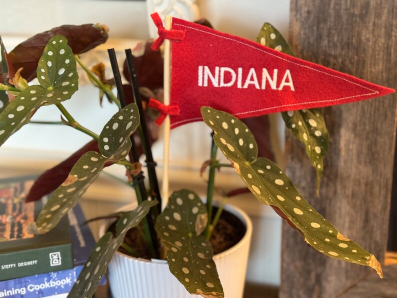 PLANT FLAGS, IU, Indiana, Purdue, Boiler Up, Plant Flag, High Quality ...