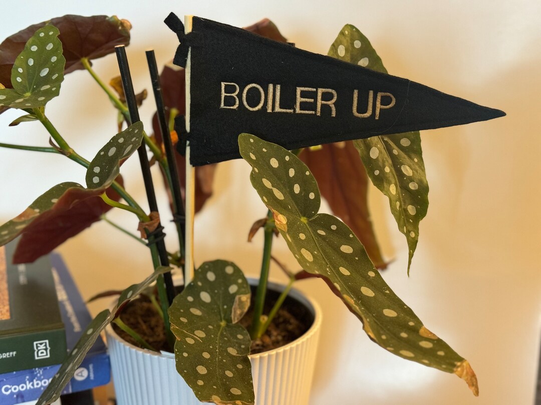 PLANT FLAGS, IU, Indiana, Purdue, Boiler Up, Plant Flag, High Quality ...