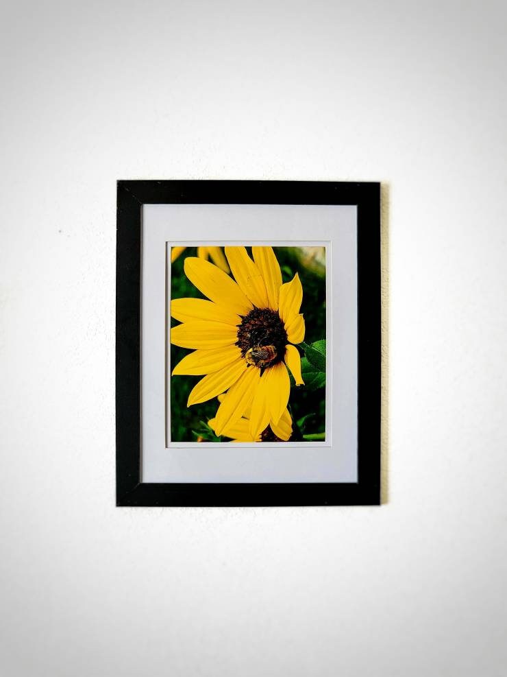 Nature Photography Wall Art Four 108 Mp Digital Prints - Etsy
