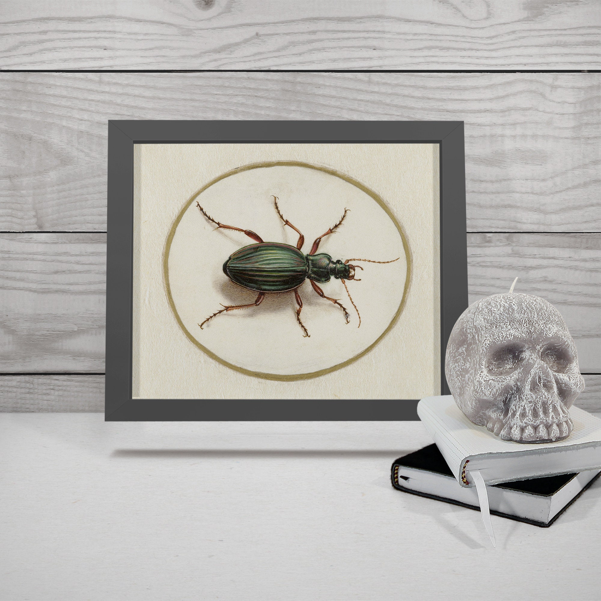 Digital Download Vintage Beetle Insect Bug Ephemera Victorian Sign ...