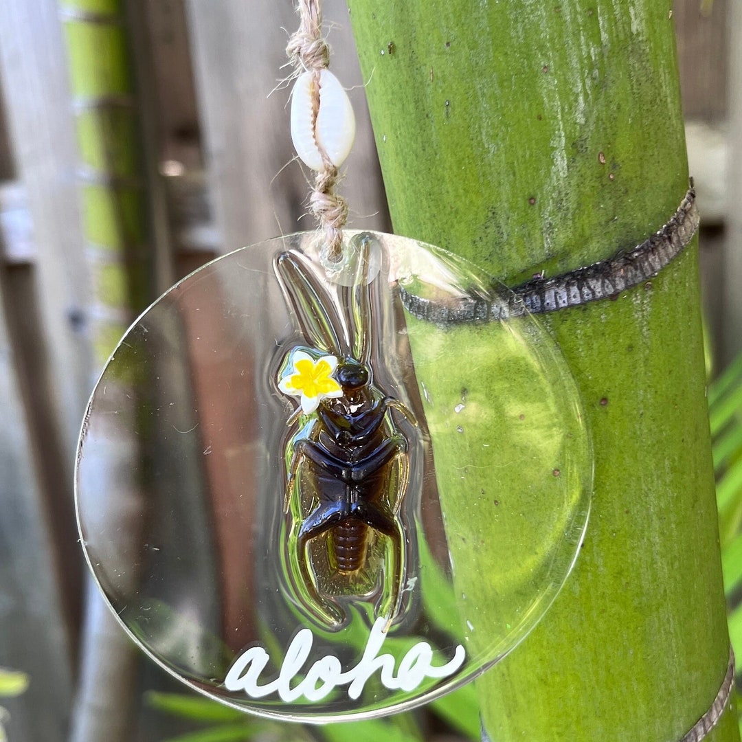 Aloha Cockroach Plumeria Ornament Hawaii Christmas Decoration Tropical ...