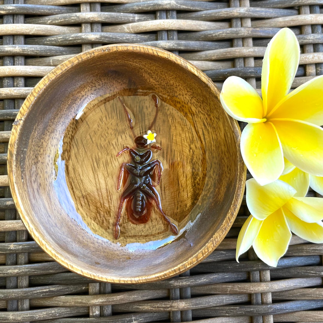 Aloha Cockroach Wooden Resin Bowl- Fake Gag Gift- Housewarming Present ...