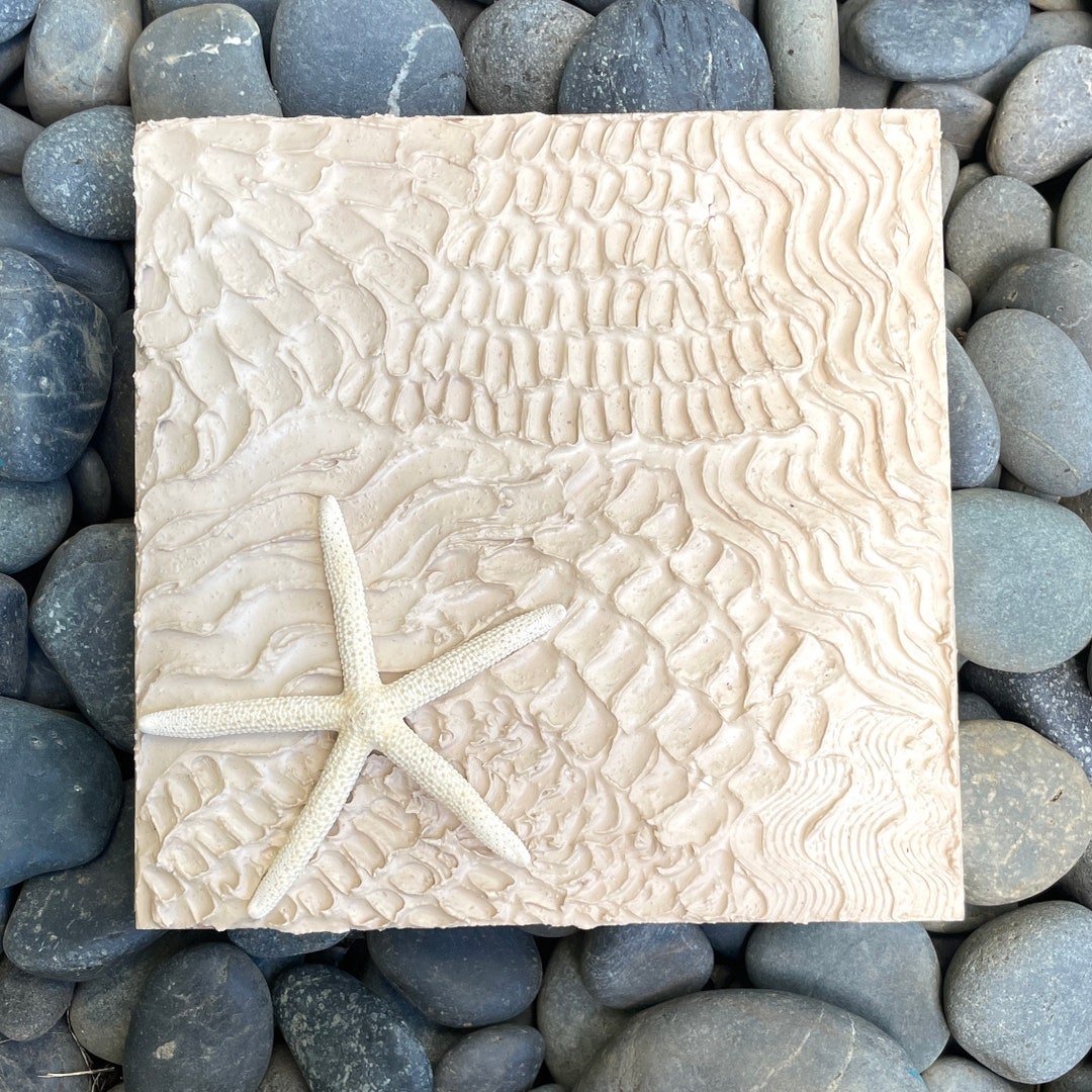 Neutral Textured Beach Ocean Starfish Art- Tropical Seashore Wave Decor ...