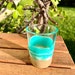 Ocean Beach Shot Glass Hawaiian Aqua Wave Glasses Resin Barware ...