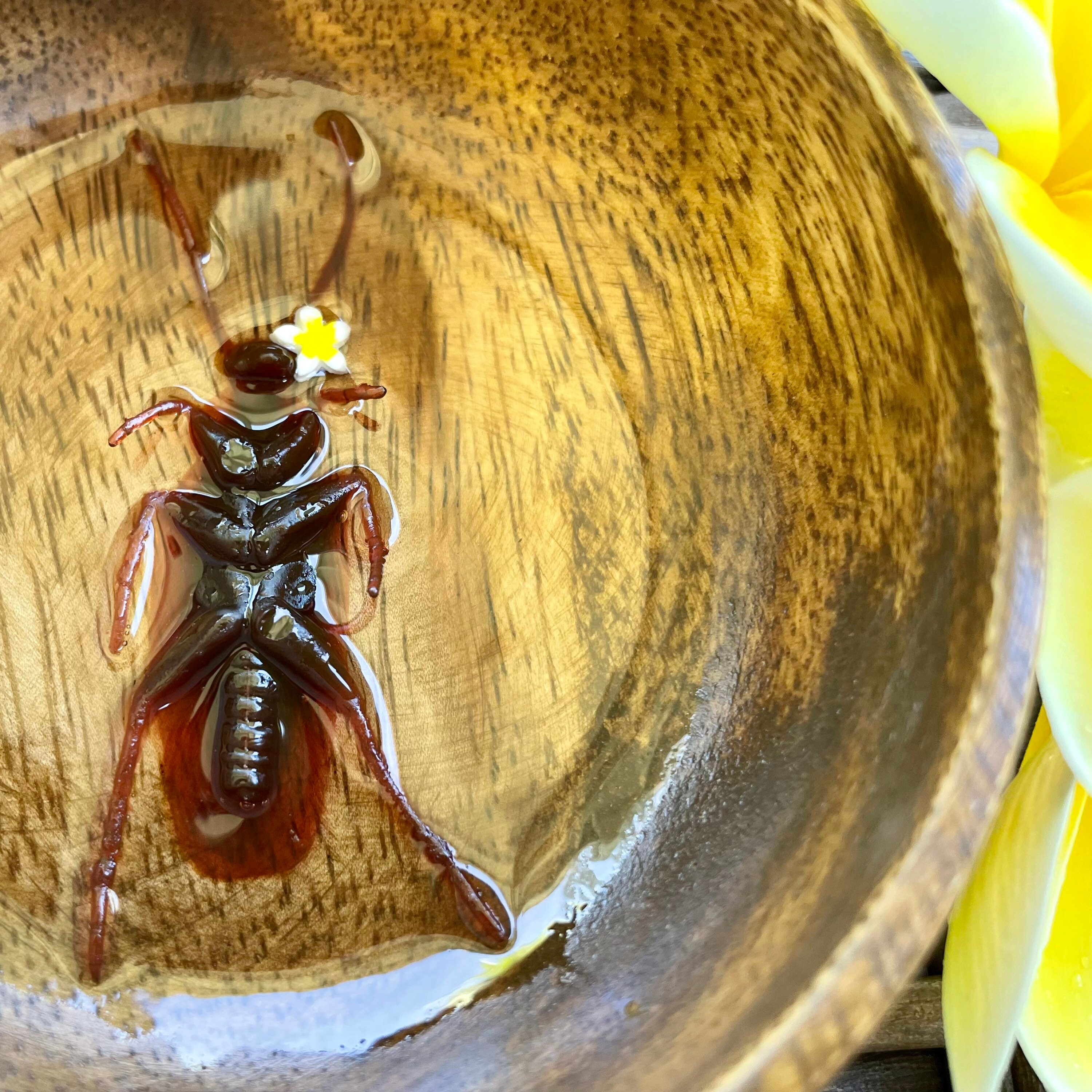 Aloha Cockroach Wooden Resin Bowl Fake Gag Gift Housewarming - Etsy