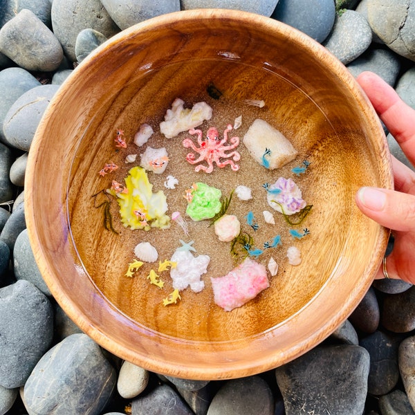Coral Reef Bowl - Etsy