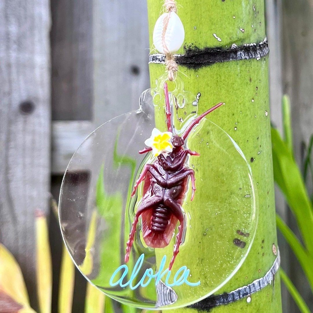 Aloha Cockroach Plumeria Ornament- Hawaii Christmas Decoration ...