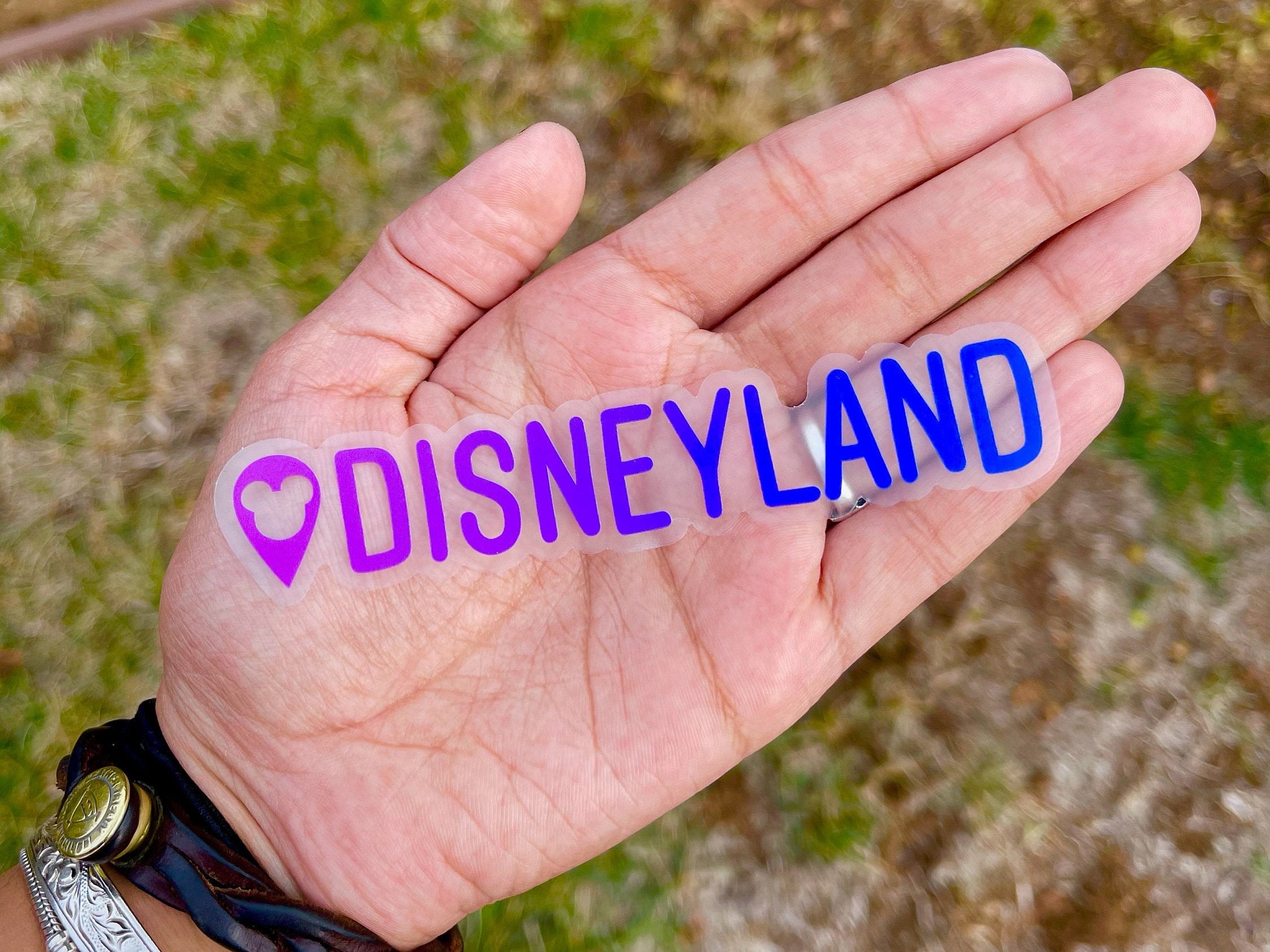 Disneyland Location Sticker // Disneyland Sticker // Disney - Etsy