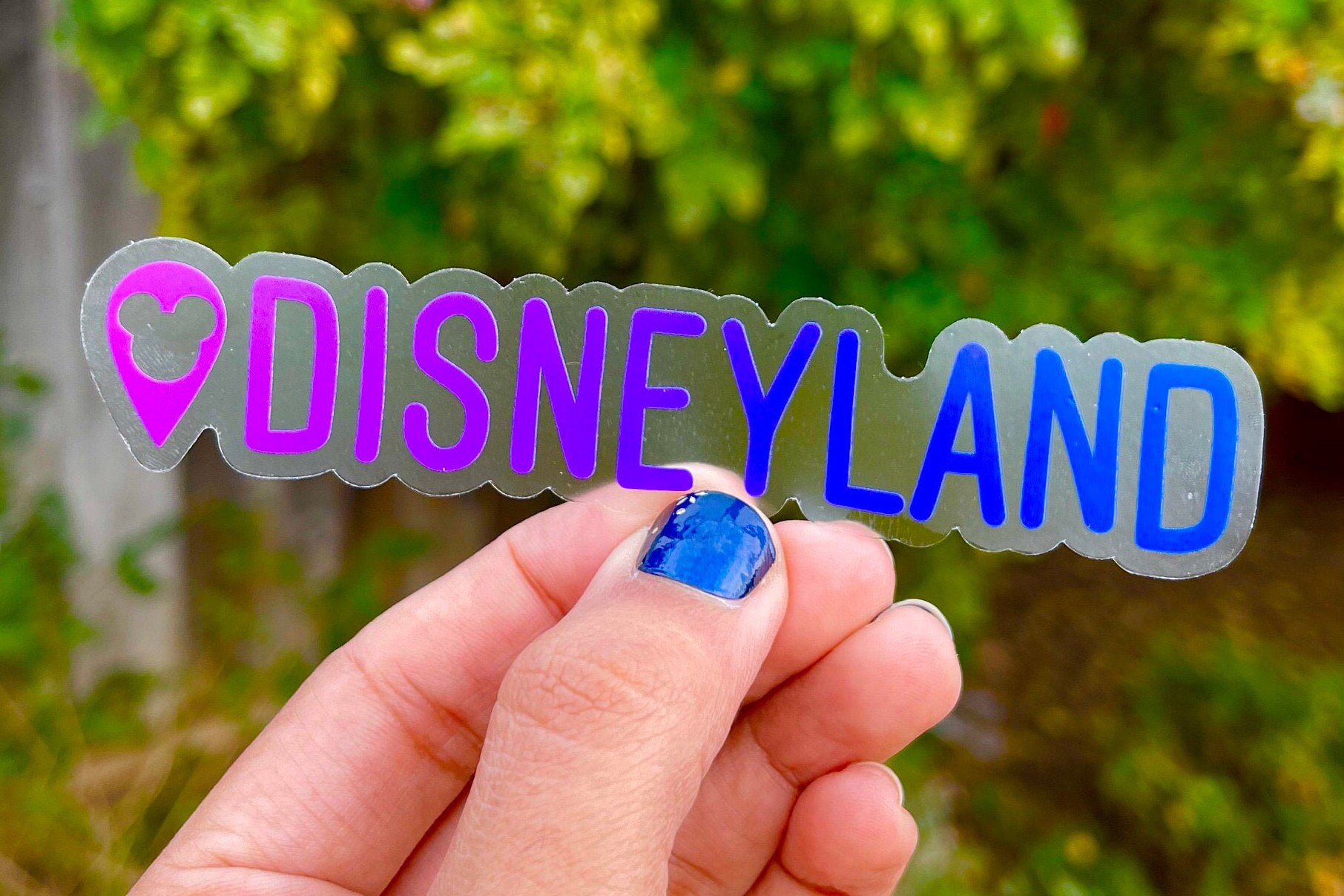 Disneyland Location Sticker // Disneyland Sticker // Disney - Etsy