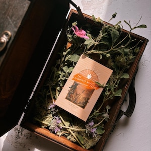 The Lighted Window Tarot Deck | Cozy Tarot | Diverse Representation - Etsy