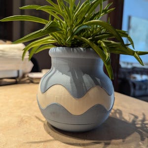 Zelda Flower Pot for Small Plants - Integrated Drainage With Removable ...