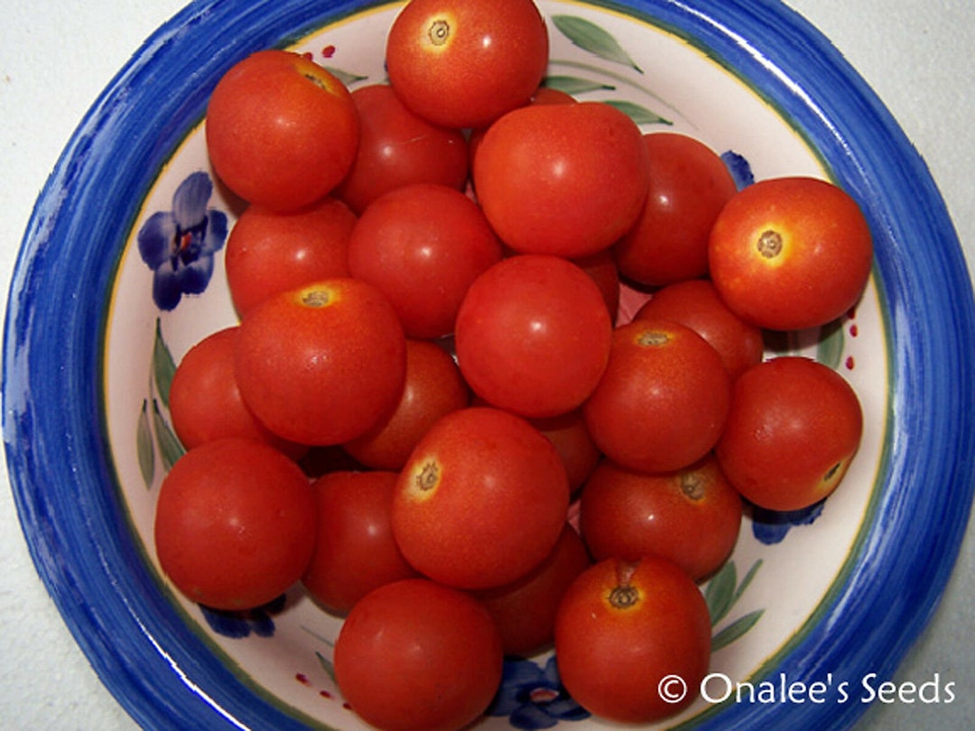 Tommy Toe Heirloom Cherry Salad Tomato Seeds Vegetable Garden ...