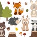 Woodland Animals Clipart, Forest Animals PNG, Cute Bear Bunny Fox ...