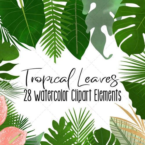 Watercolor Tropical Leaves / Monstera Palm Banana Leaves / - Etsy